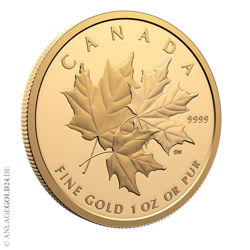 # 1 oz Gold Triple Maple Leaf 2025 PP --> Goldmünzen Silbermünzen Goldbarren | Anlagegold24