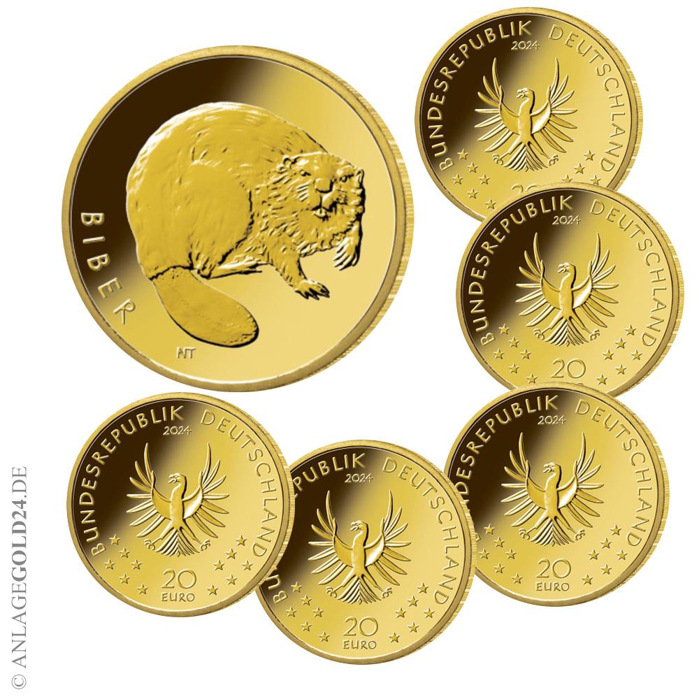 20 Euro Gold Rückkehr der Wildtiere - Biber 2024 Komplettsatz ADFGJ ...